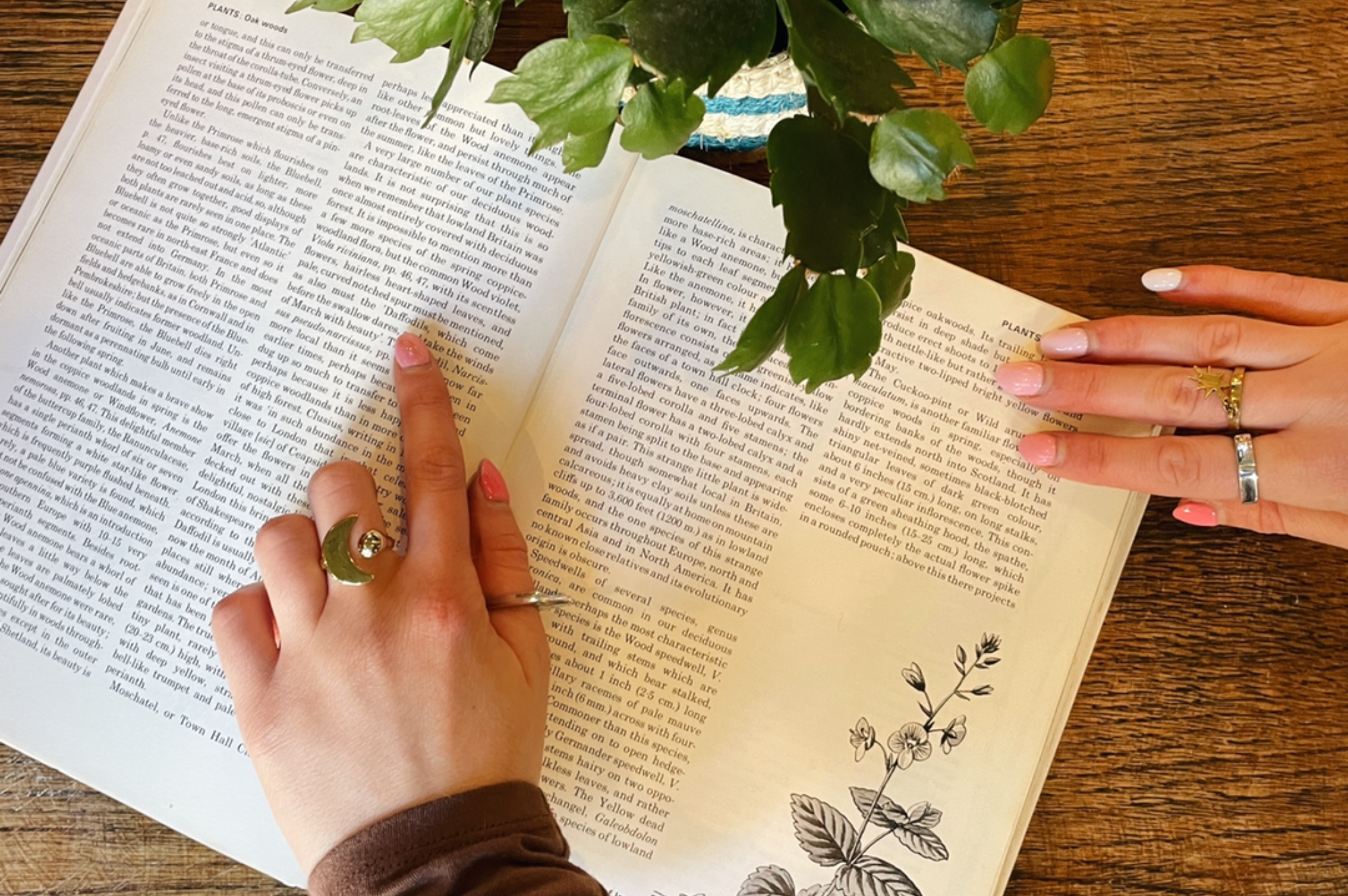 An Index of Sustainable Terms and Eco Language – AARVEN